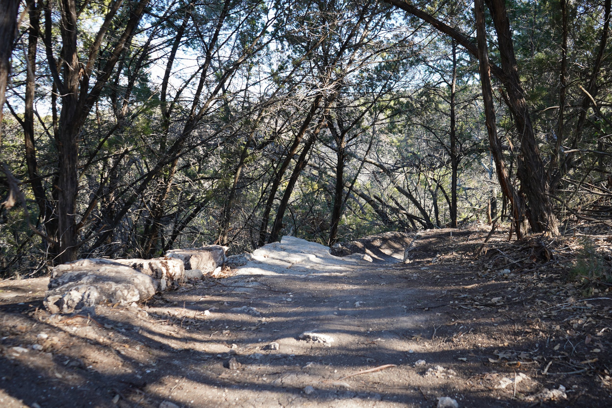 Rough Hollow Bike Park — MTBATX