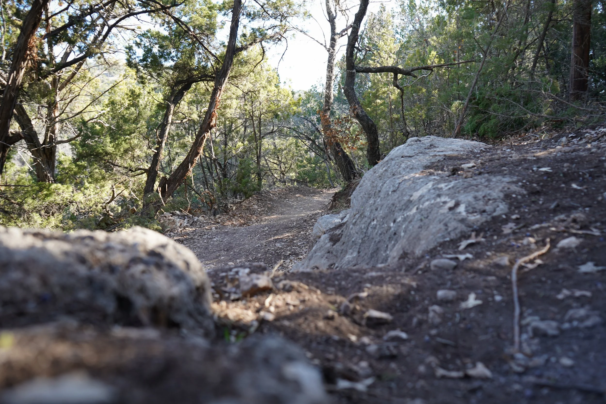 Rough Hollow Bike Park — MTBATX