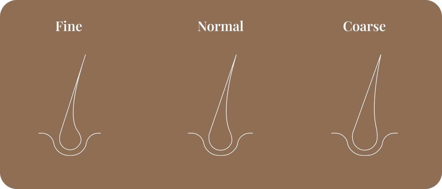 Understanding Hair Width: Fine, Normal, and Coarse | Compar - Your AI ...