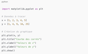 Top 10 des codes Python pour développeurs et débutants — La Nouvelle École