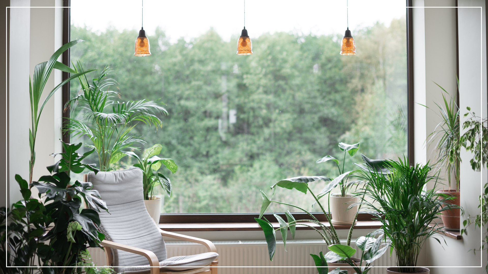 The Truth About Environmental Wellness and Personal Well-Being ...