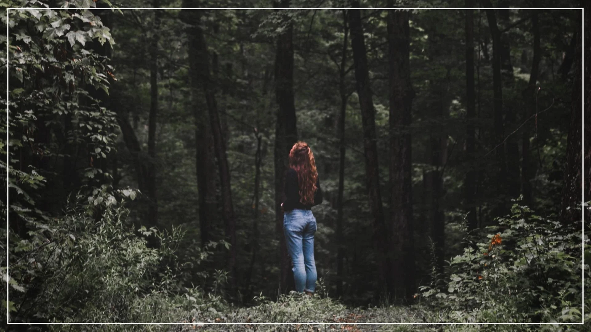 How to Practice Forest Bathing and Benefits | Spirited Earthling