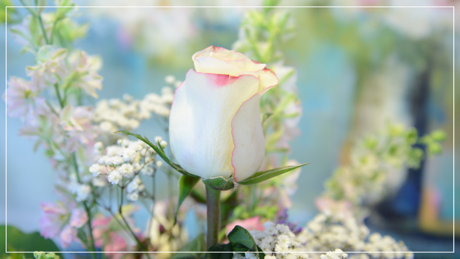 10 Genuine and Simple Lessons from Flowers | Spirited Earthling