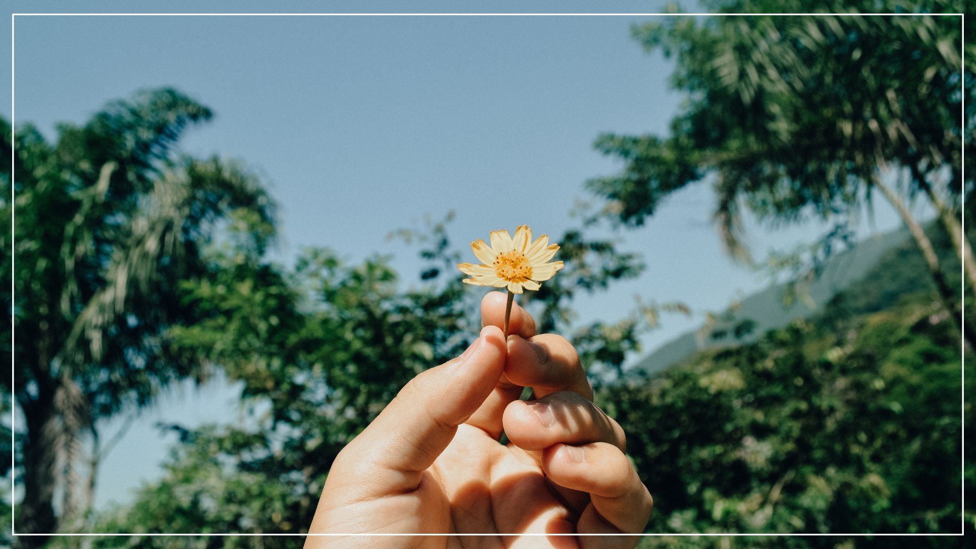 The Sacred Emotion of Intentional Curiosity: How Asking Better ...