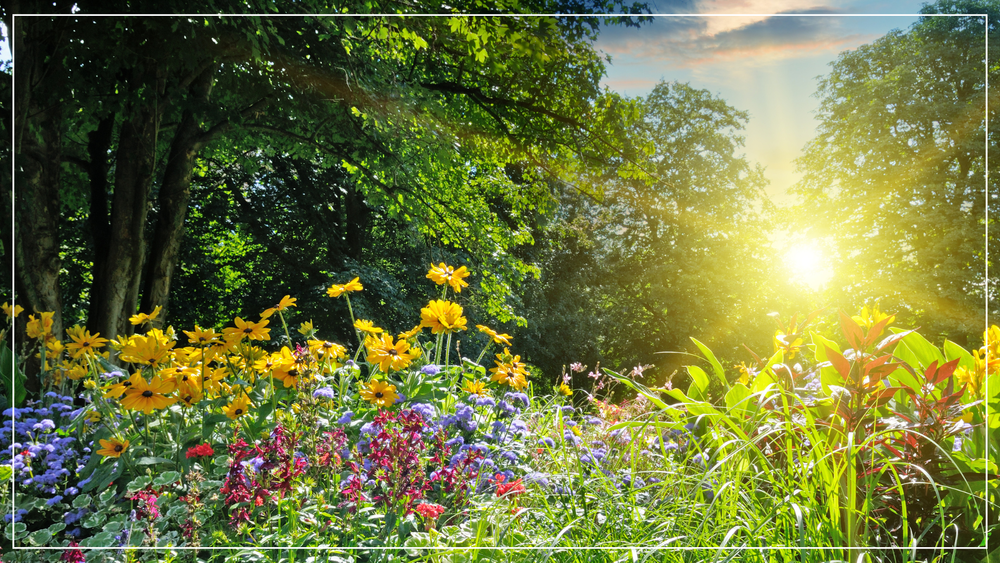 Beautiful Seasonal Transition Rituals to Welcome Change with Grace ...