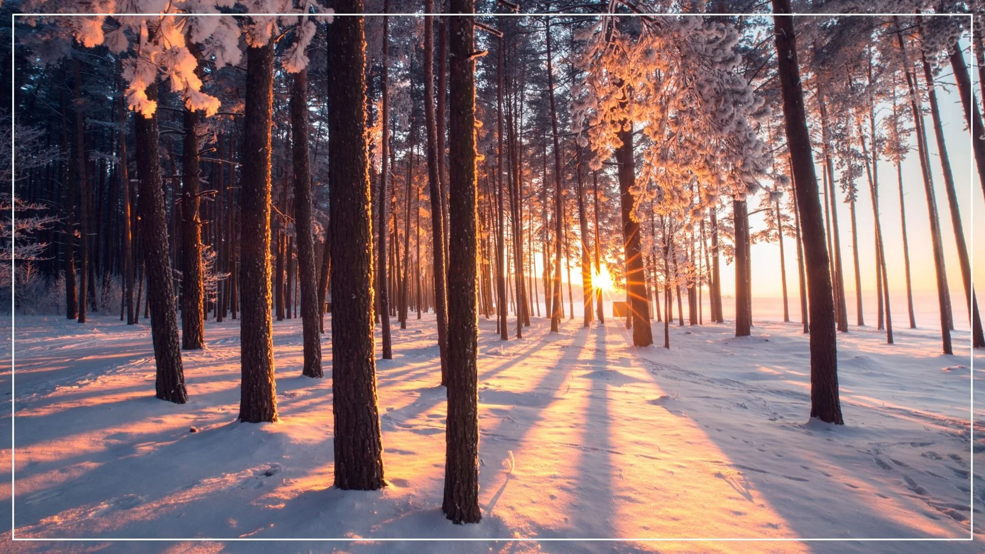A Free Winter Solstice Guide to Meaning, Renewal, and Inner Light ...