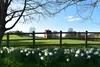 Hodnet Hall Gardens