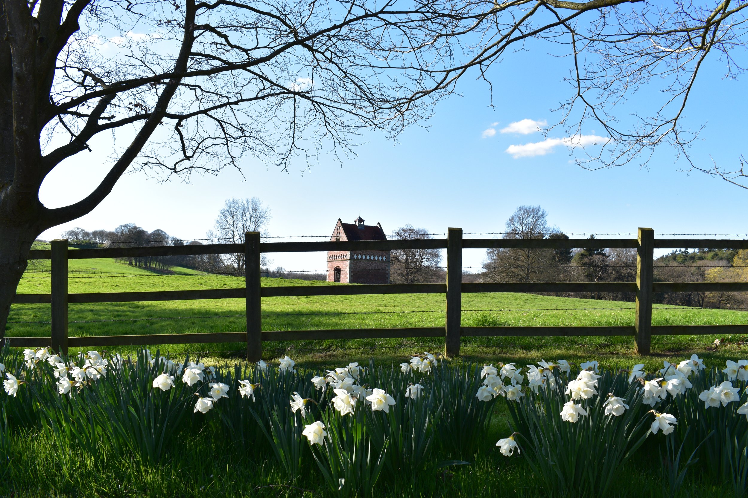 Hodnet Hall Gardens