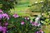 Hodnet Hall Gardens