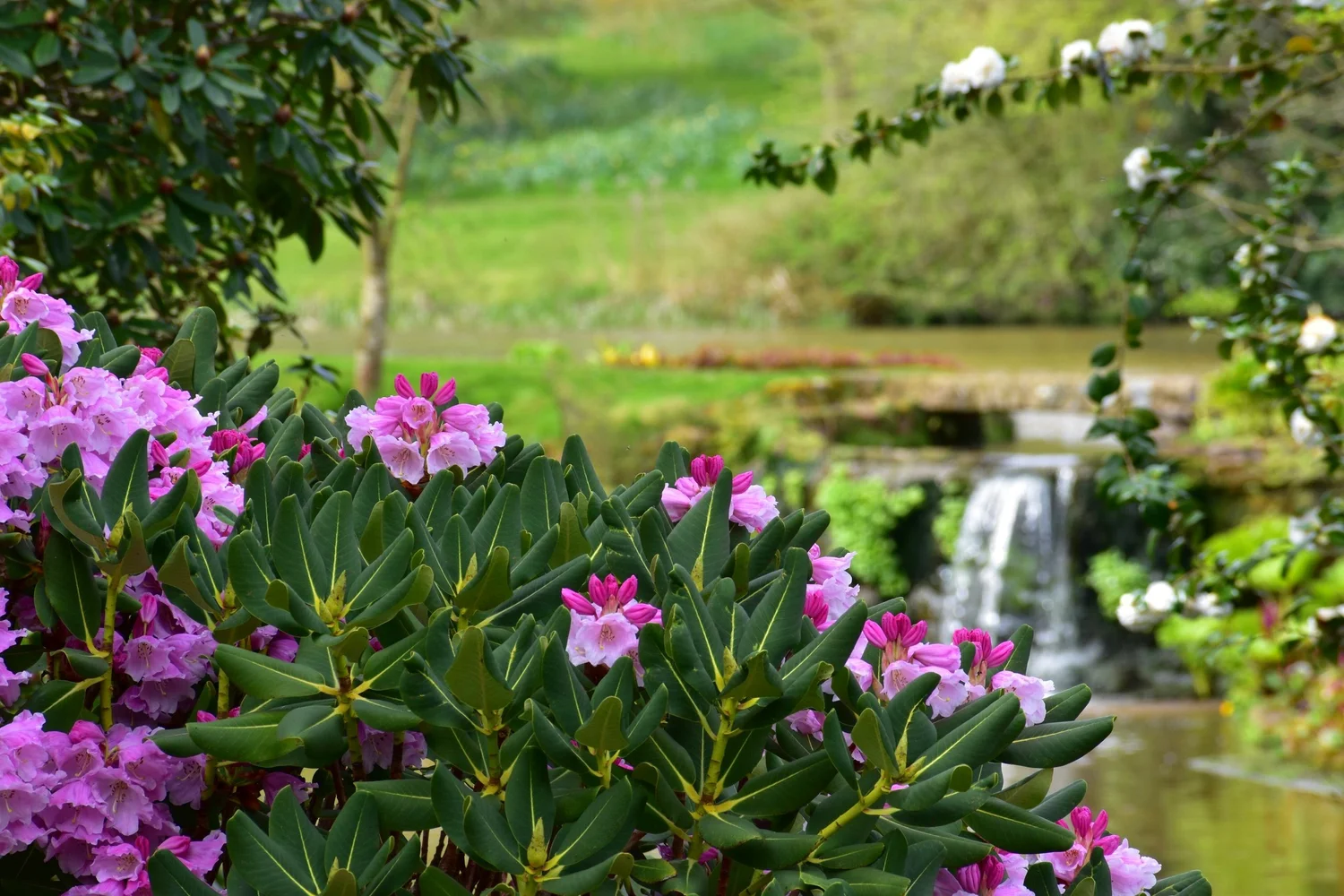 Hodnet Hall Gardens