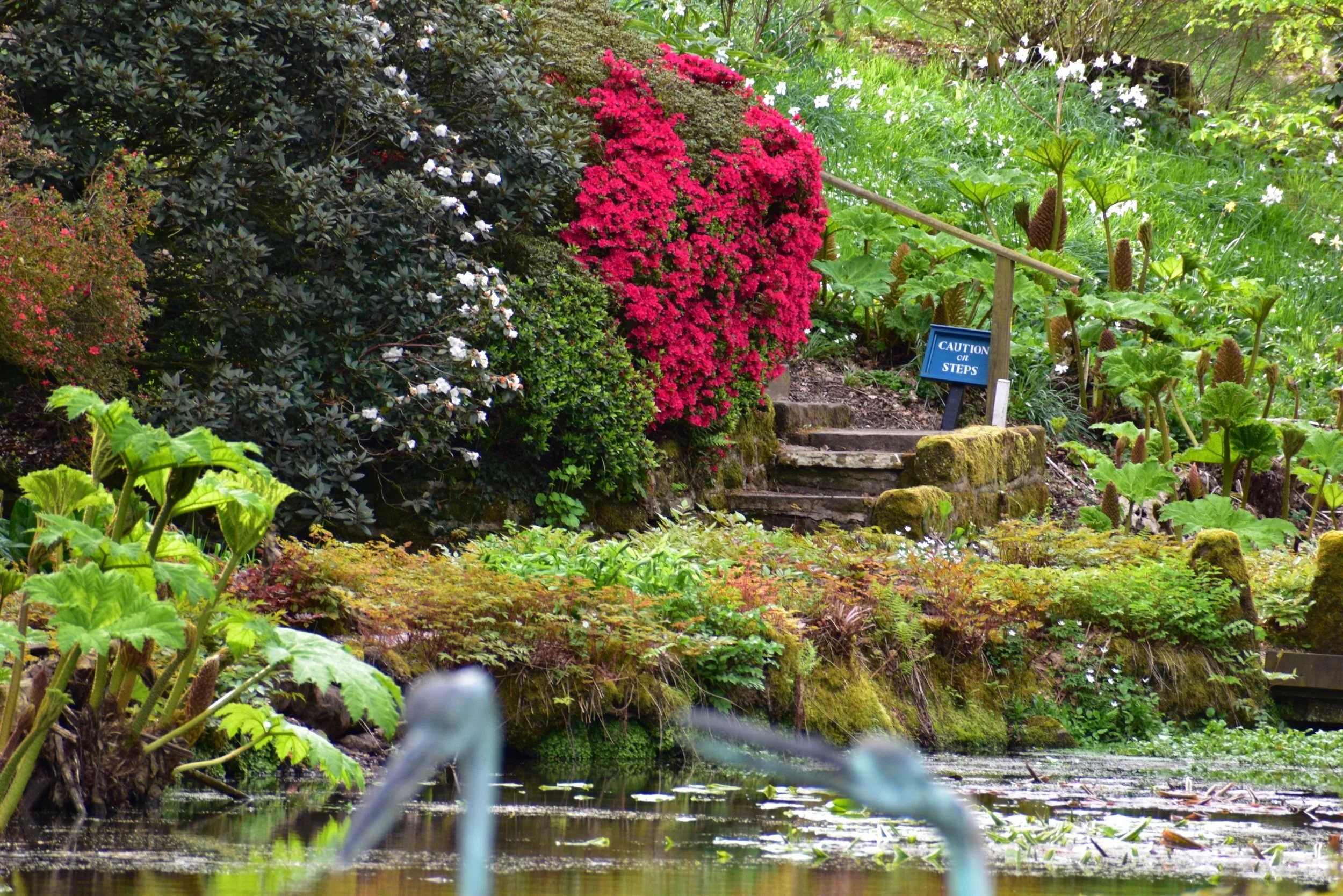 Hodnet Hall Gardens