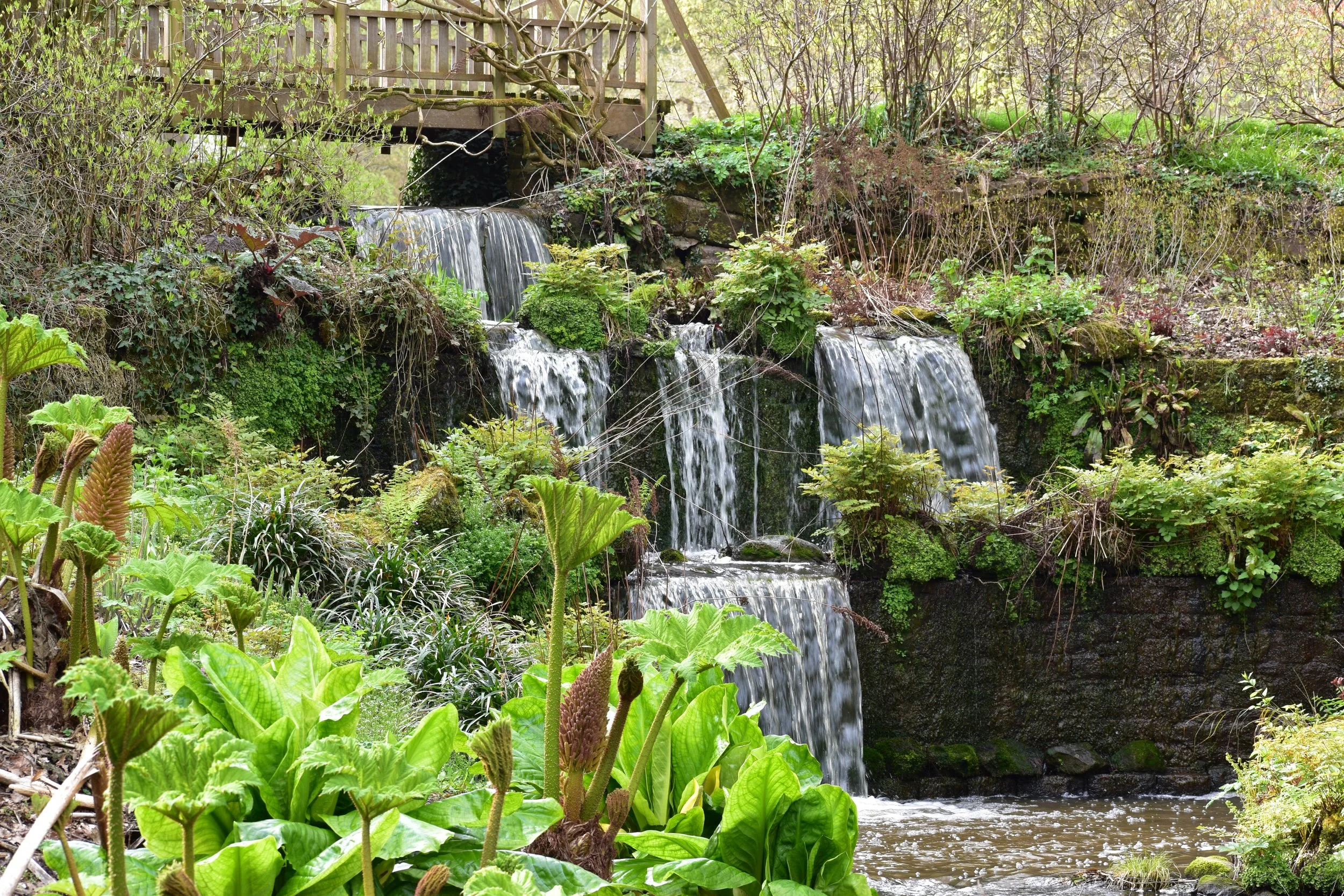 Hodnet Hall Gardens