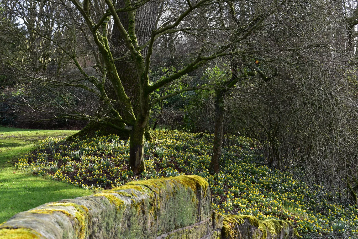 Hodnet Hall Gardens