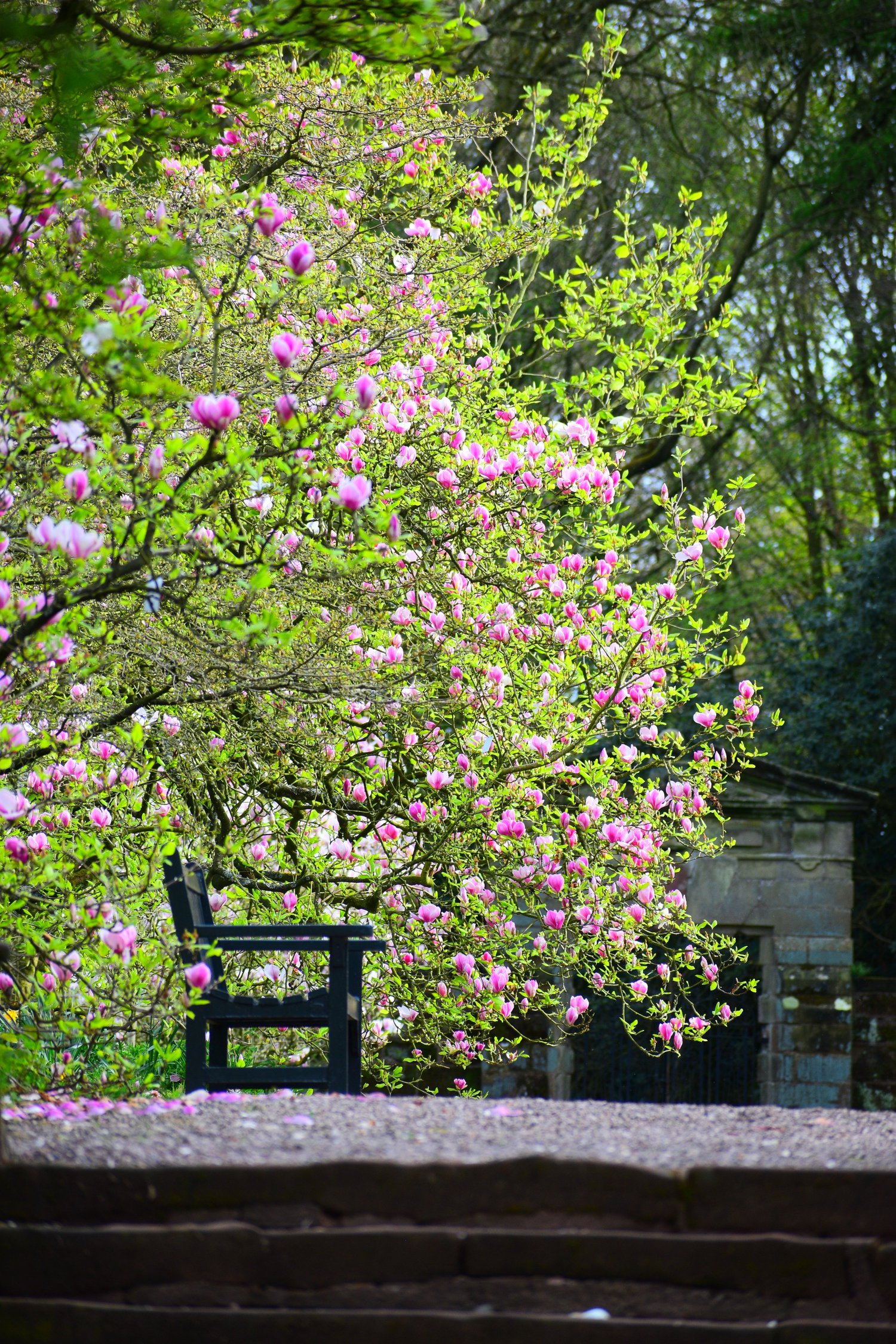 Hodnet Hall Gardens