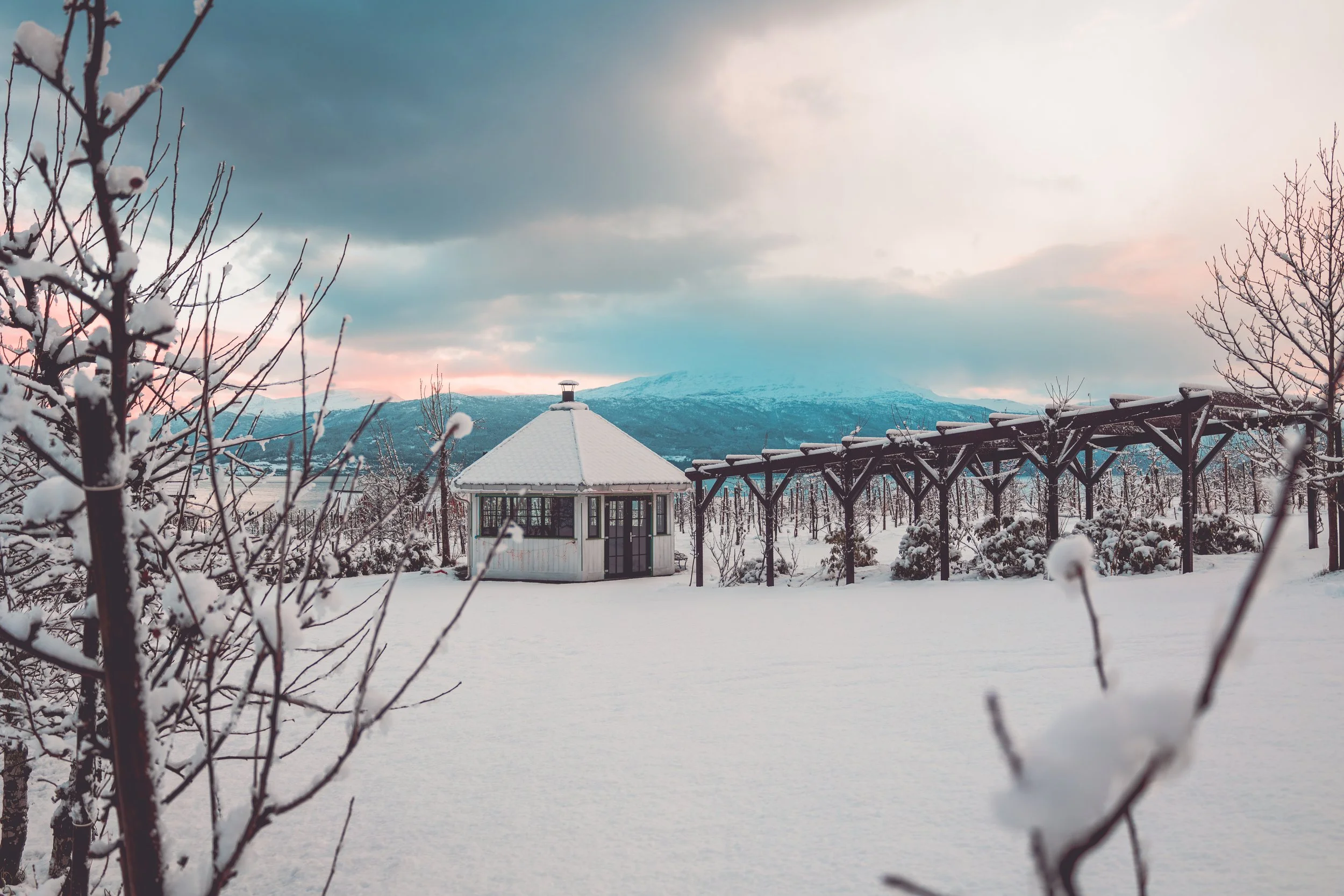 Cider House — CIDERHUSET