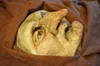 Hag Body Puppet — RIMA STAINES
