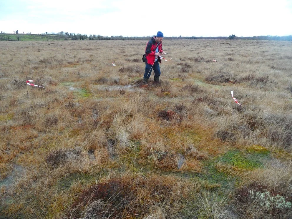 NPWS Projects — Wetland Surveys