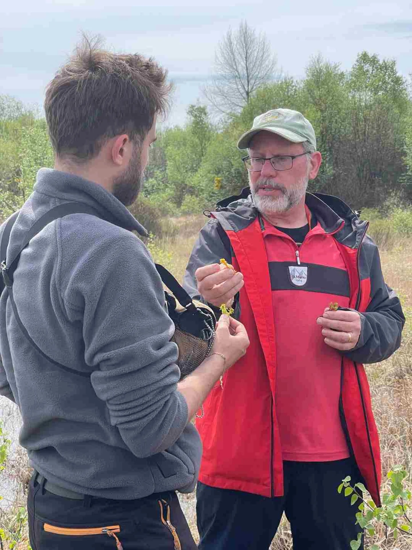 Bryophyte Team Training Day 2025 — Wetland Surveys