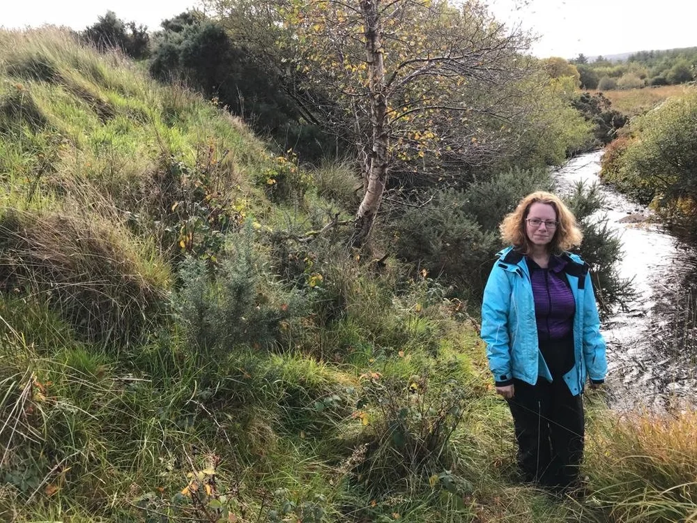 Catchment survey of Glaskeelan, Co. Donegal — Wetland Surveys