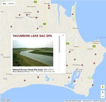 Revised County Wexford Wetland Map — Wetland Surveys