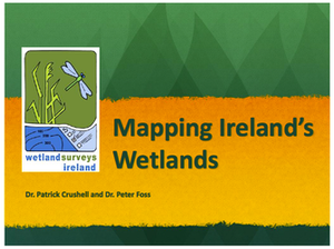 Wetland Map of Ireland Presentation in County Waterford — Wetland Surveys