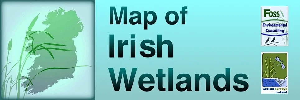 MIW Intro — Wetland Surveys