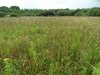 Kerry Wetland Map Updated — Wetland Surveys