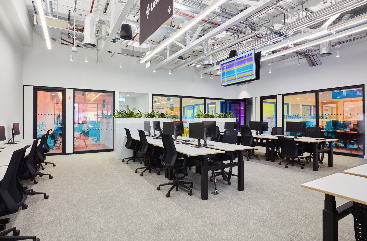 Levin – dichroic colour — Learn to Dream