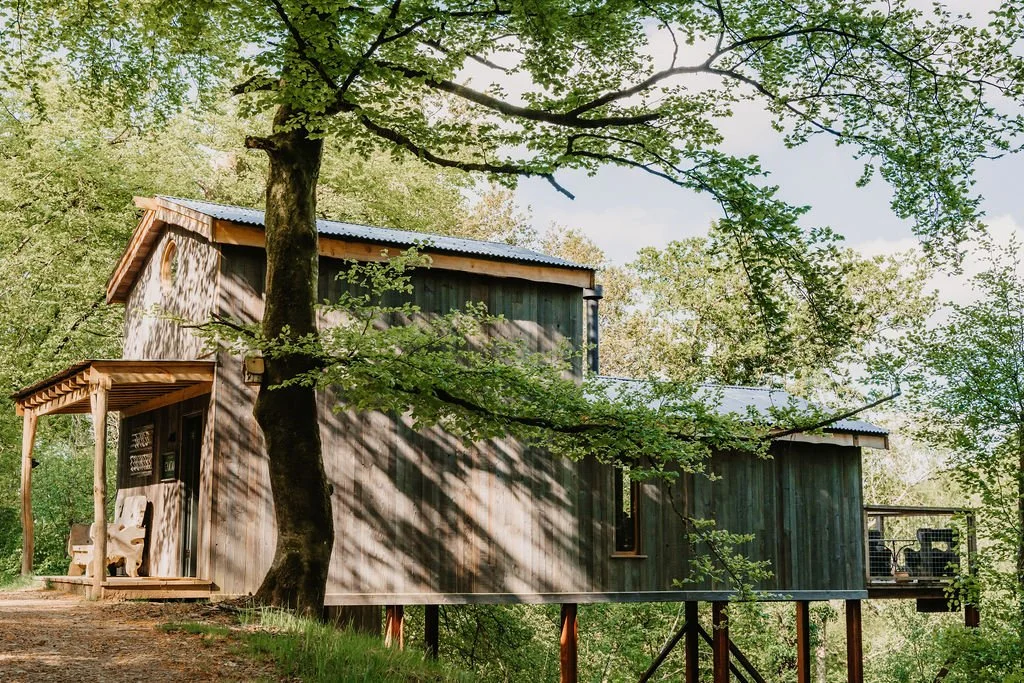 Cove Valley — Chatan Treehouse | Luxury Cabin Stay in Devon | Cove Valley