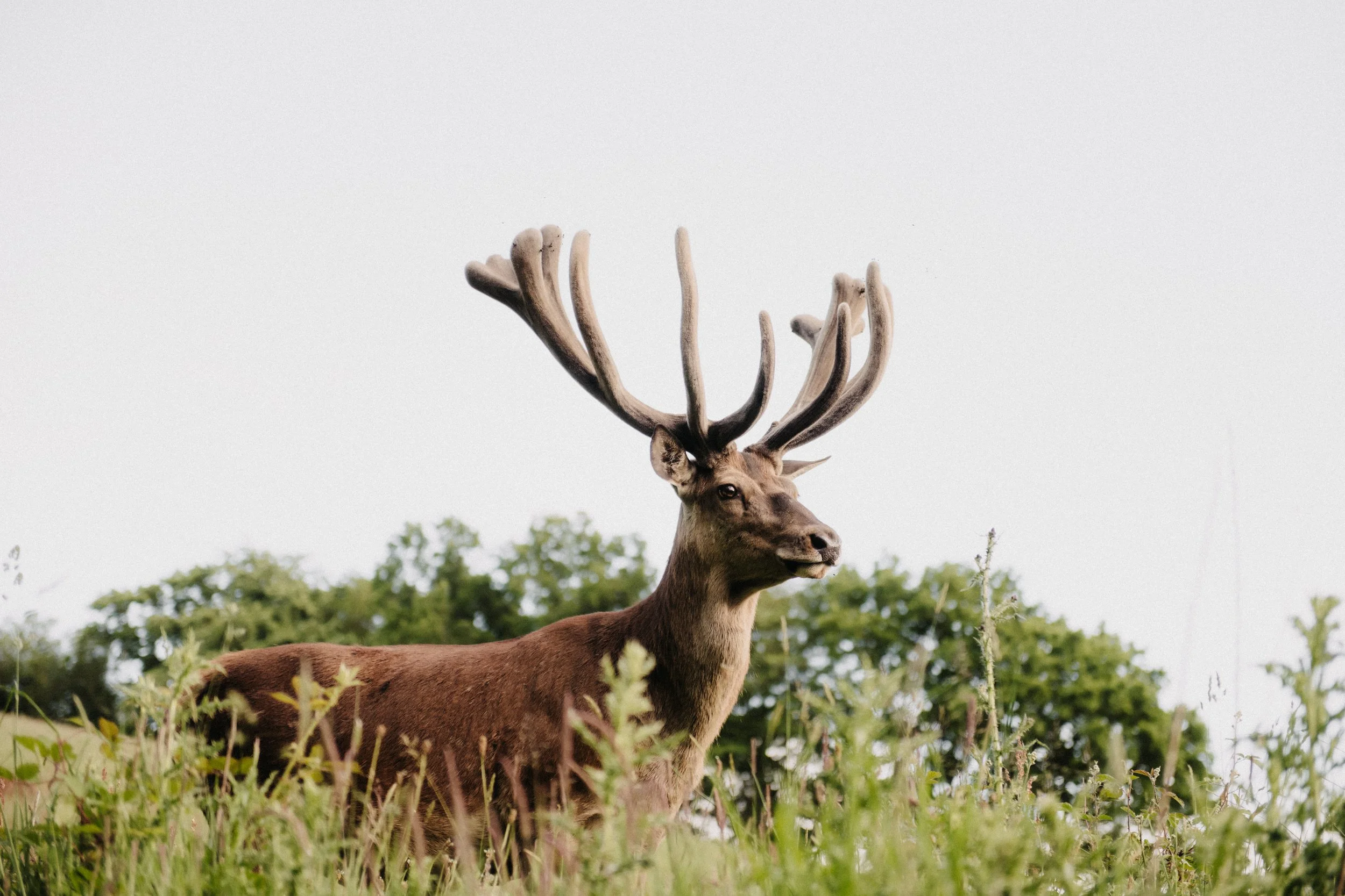 Cove Valley - Luxury Cabins in Devon, UK