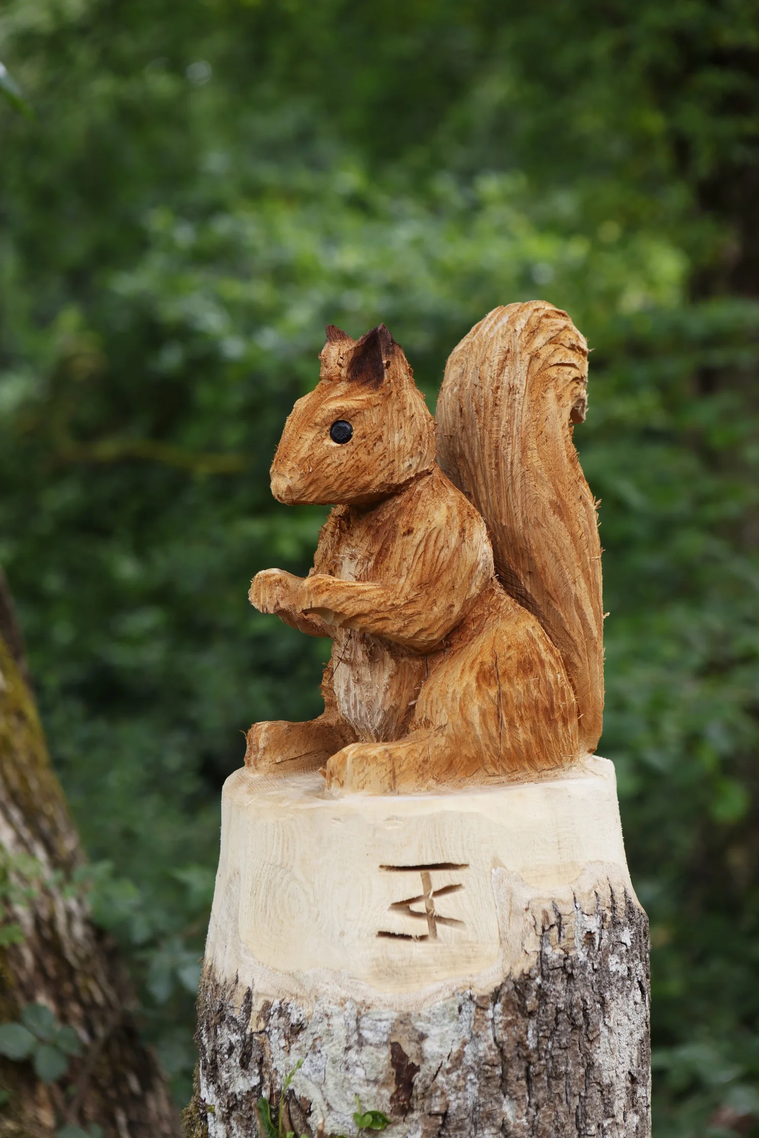 Cove Valley — Ukai Cabin, Devon UK