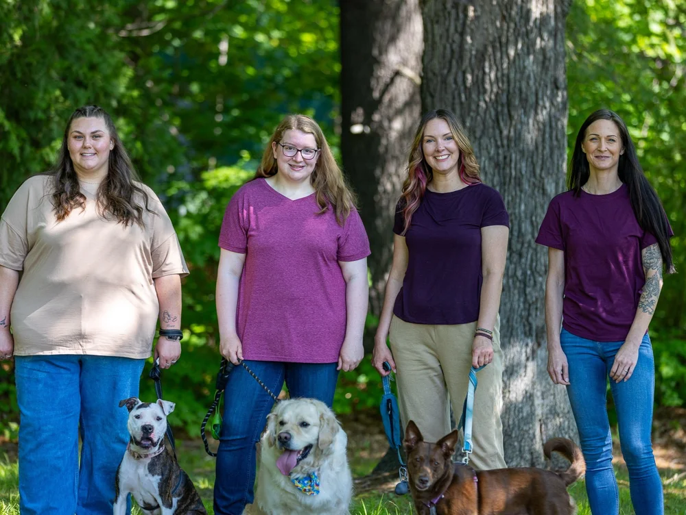 Team 1 — Everything But Elephants