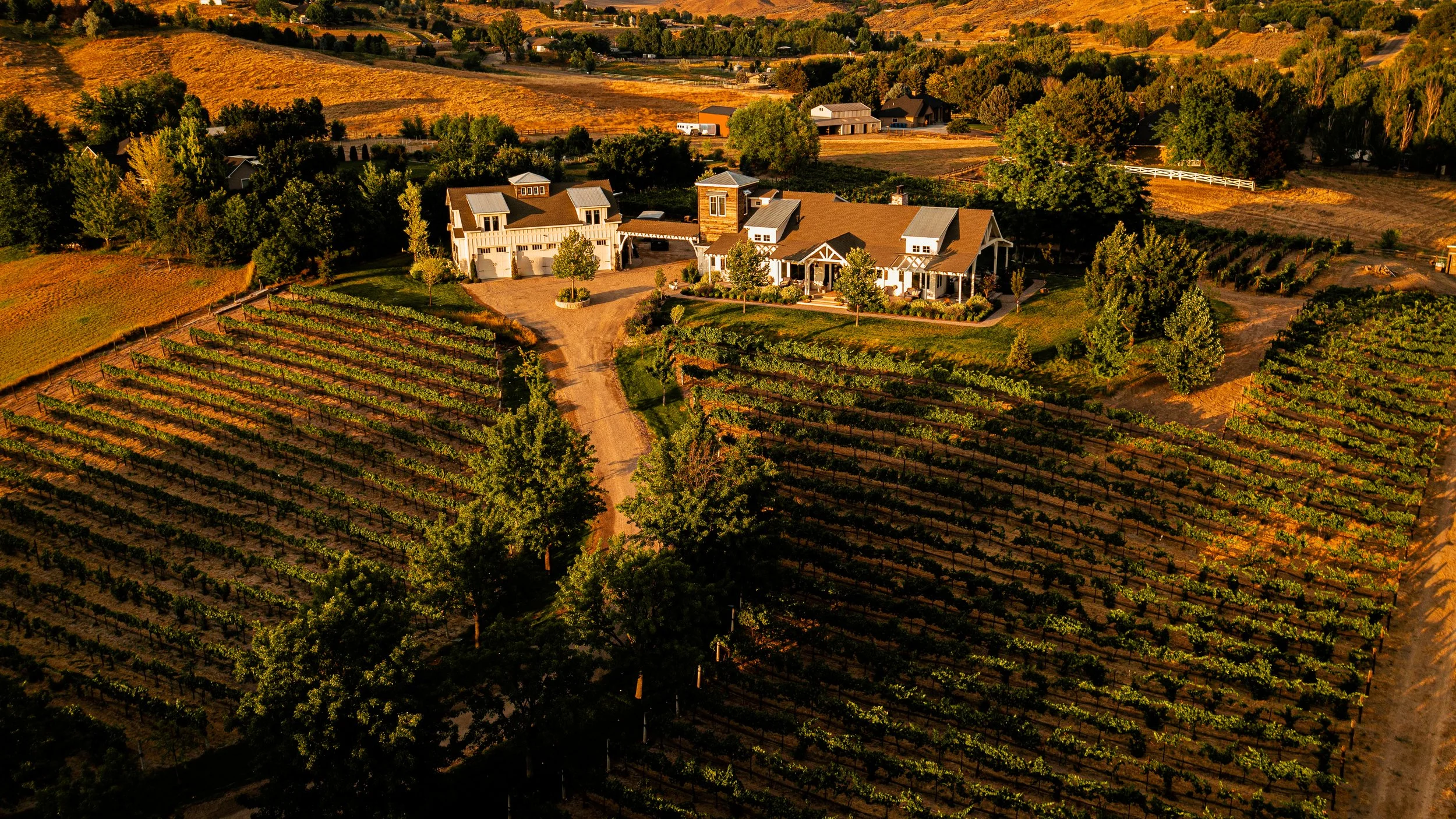 Boise Wine Tasting & Vineyard | Garden City Winery — Rolling Hills Vineyard