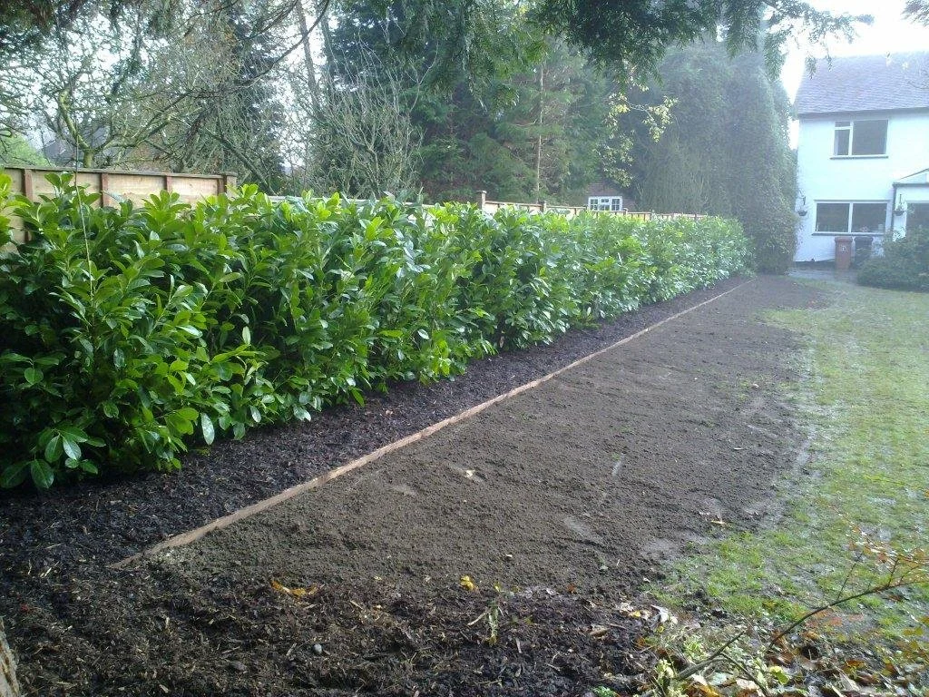 Instant Hedge Planting & Instant Boundary Hedge Services — Browns ...
