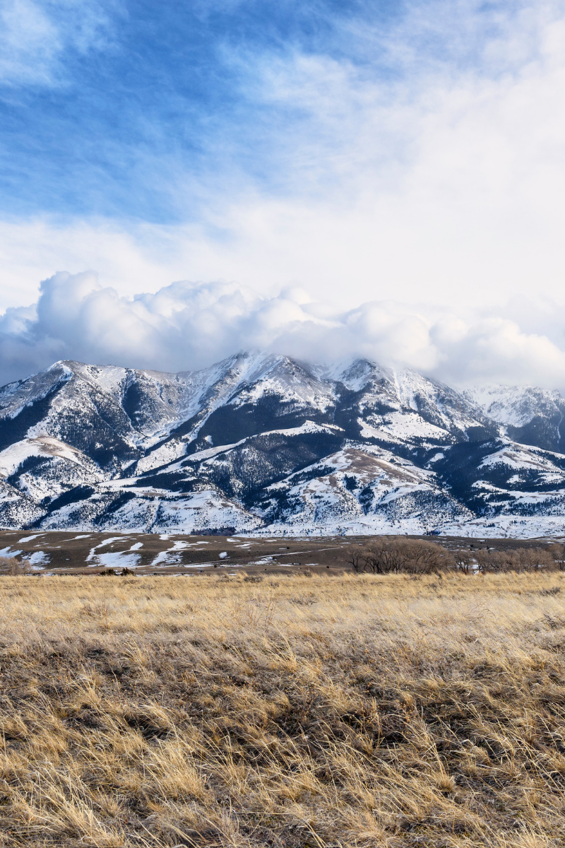 IOLTA — Montana Justice Foundation