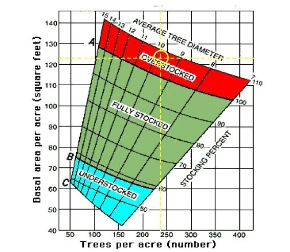 FSI Details — Ridge and Valley Forest Management