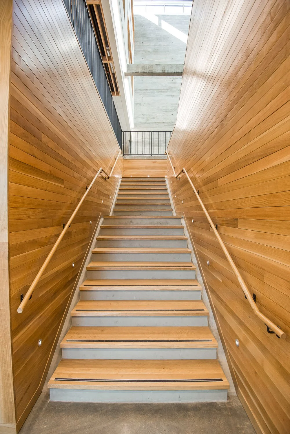 Health and Light — Oxbow Architecture