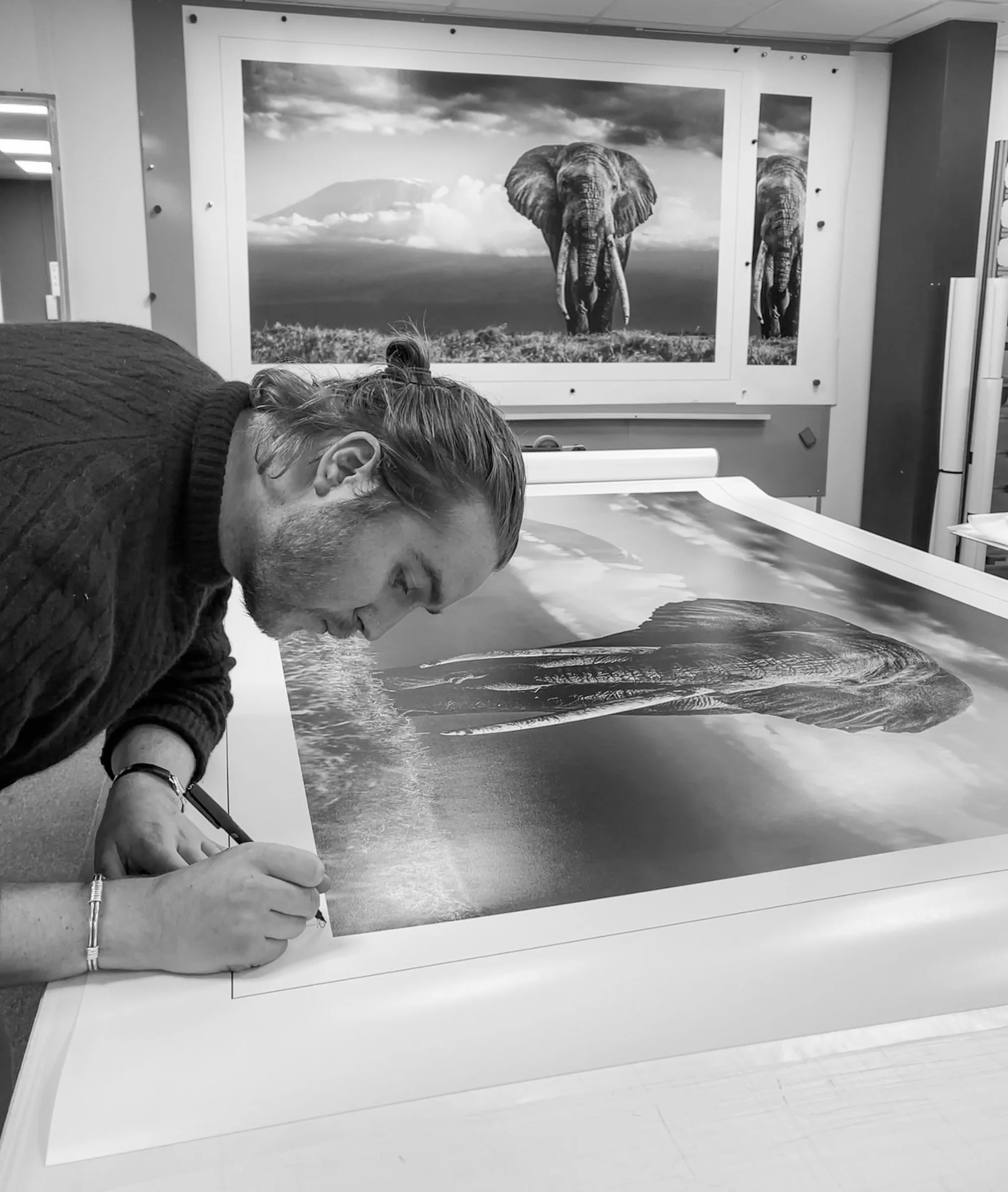 About William — William Fortescue