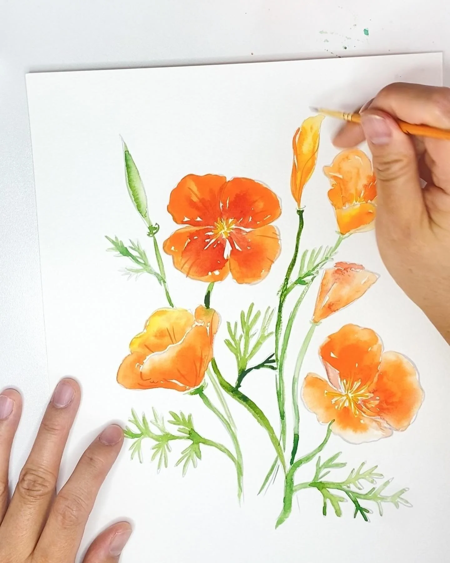 Jean Choe Art & Design