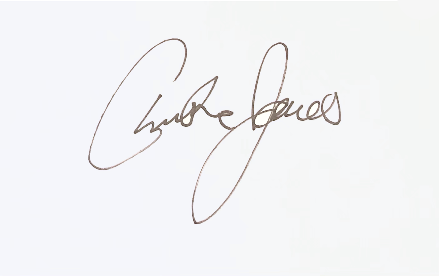 Commissions — Christine James Art