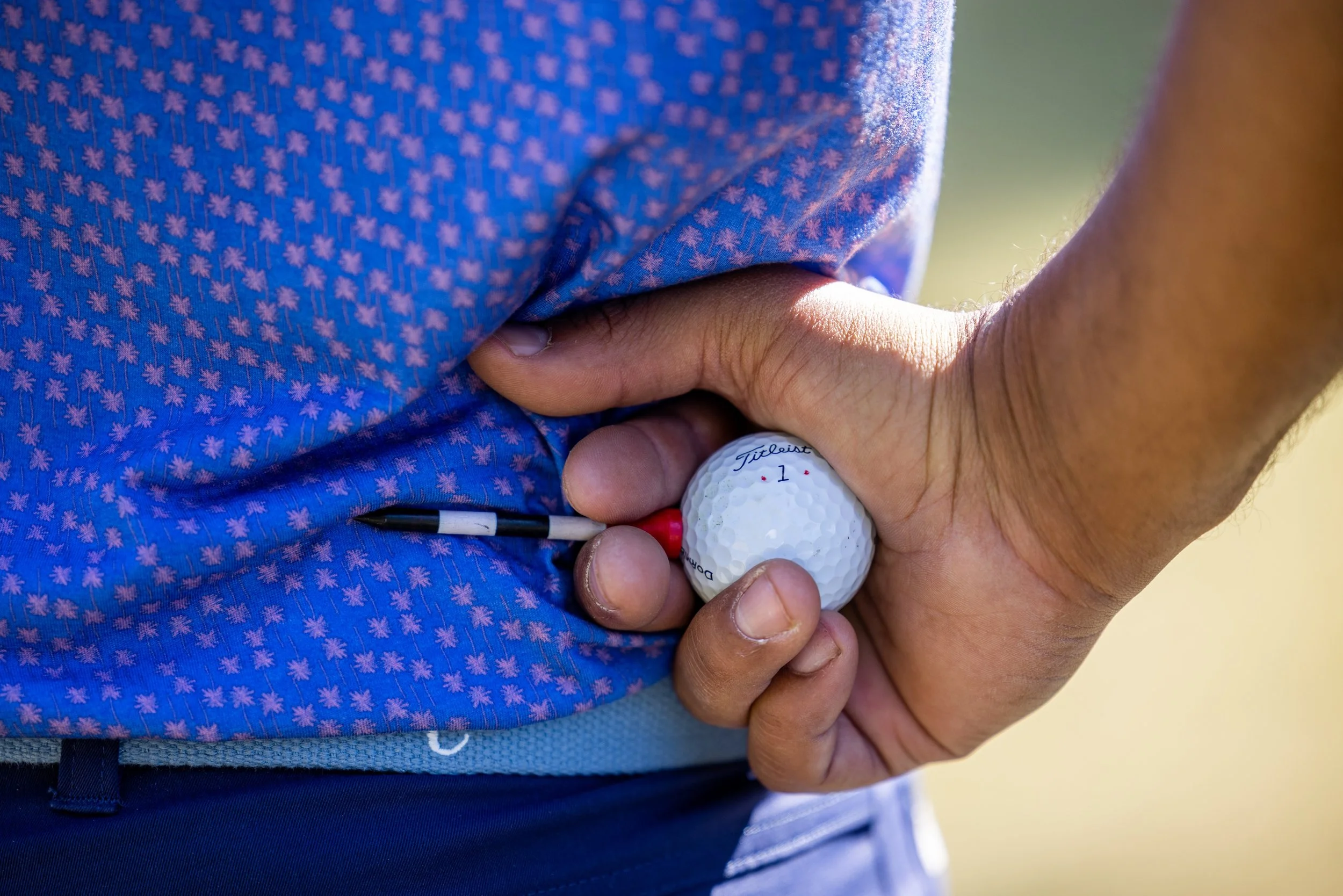 Dormie Network's Logo & Golf Tees — Dormie Network