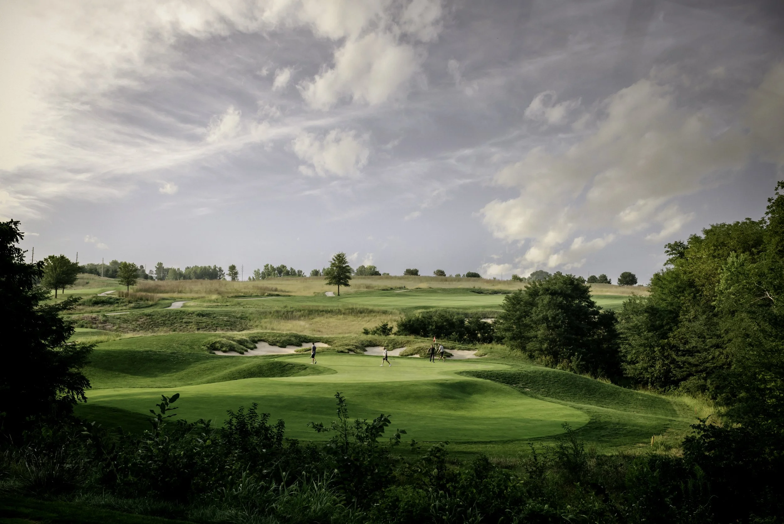 ArborLinks Photo Gallery — Dormie Network