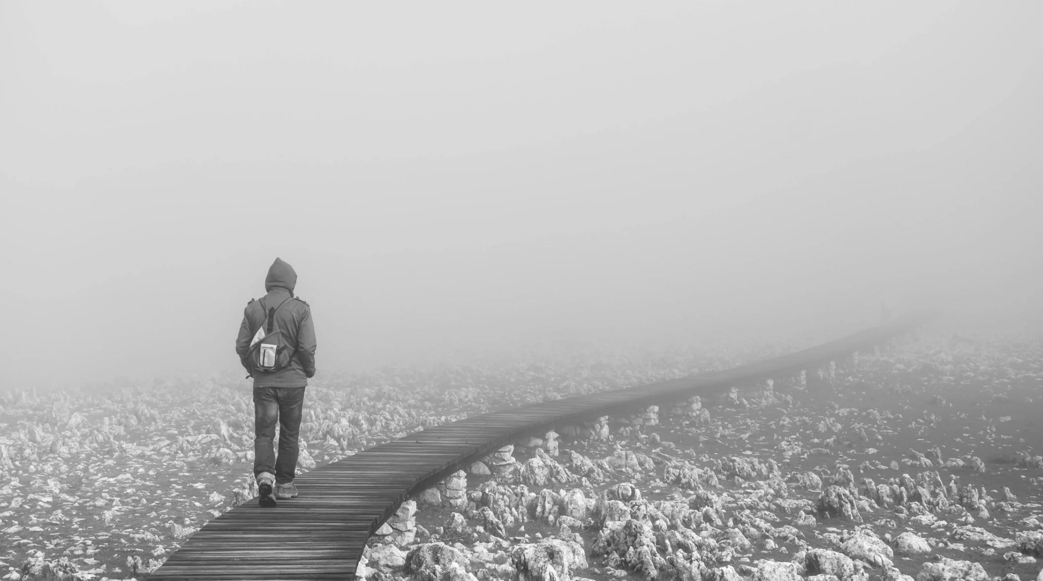 The Wisdom in Ignorance: A visual journey with Words and Images plucked ...