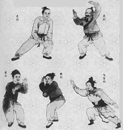 How to do Tai Chi Breathing Exercises for beginners