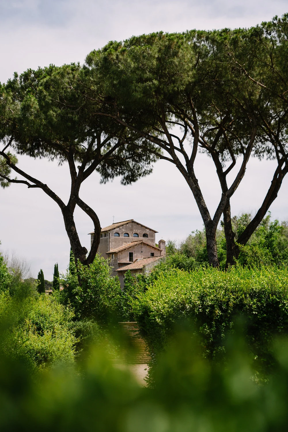 Foundwell Design: Brand Design & Photography Studio