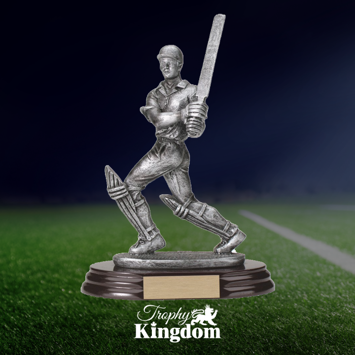 Cricket Batsman Trophy — Trophy Kingdom - Most Trusted Trophy Store In ...