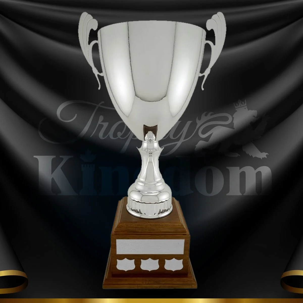 Perpetual Cups Canada 🏆 — Trophy Kingdom - Most Trusted Trophy Store In ...