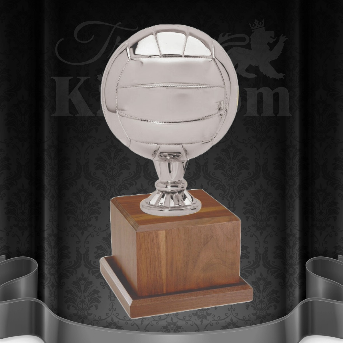 Silver Volleyball Trophy — Trophy Kingdom - Most Trusted Trophy Store ...