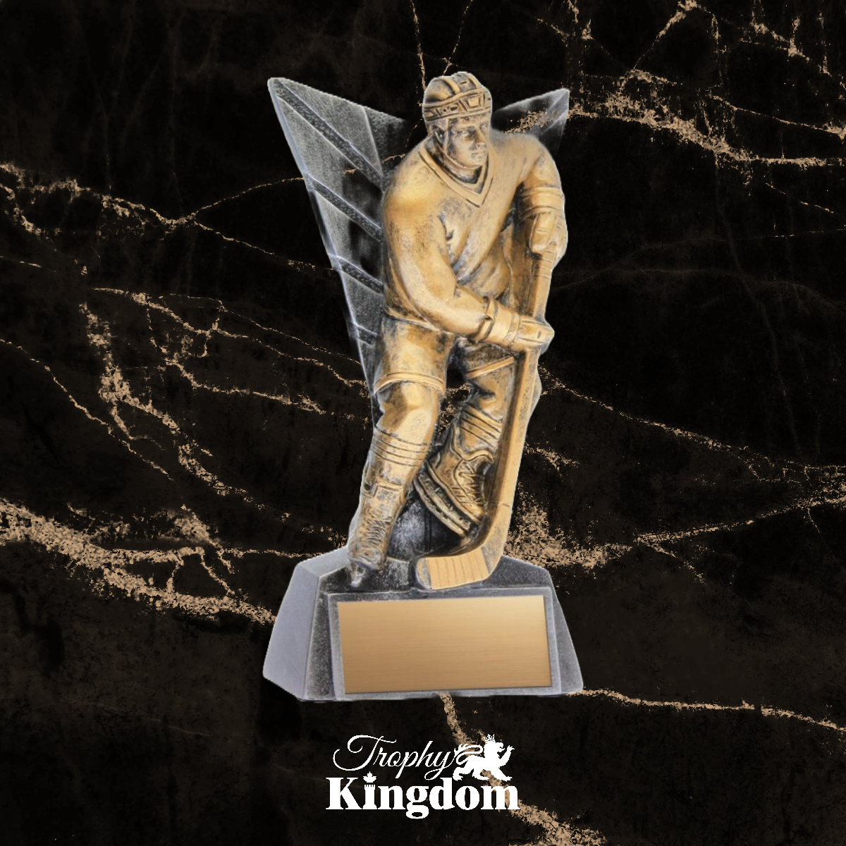 Delta Male Hockey Trophy — Trophy Kingdom - Most Trusted Trophy Store ...