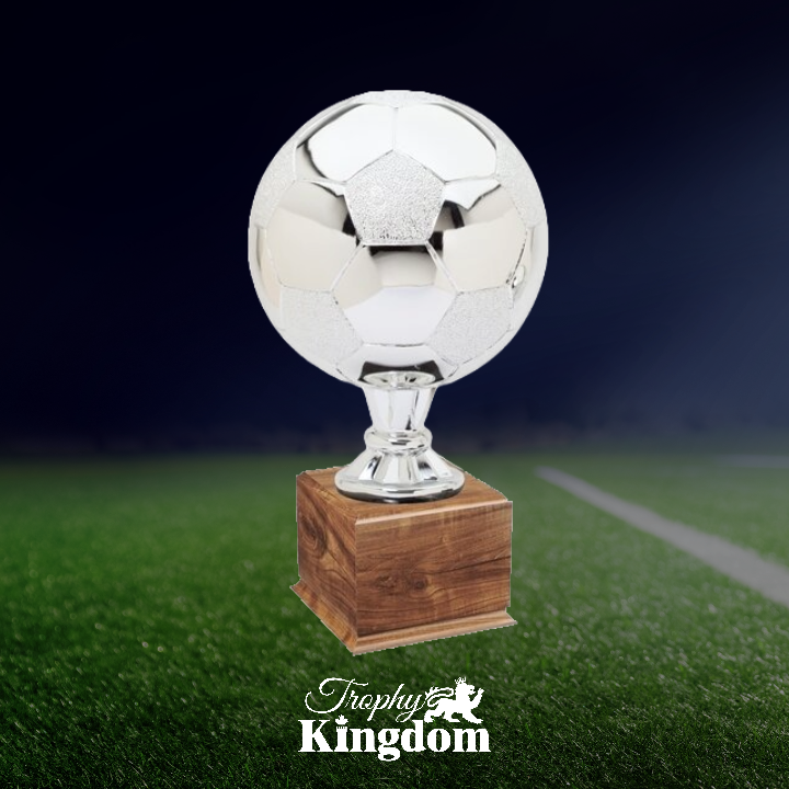 Silver Soccer Ball on Base Trophy — Trophy Kingdom - Most Trusted ...